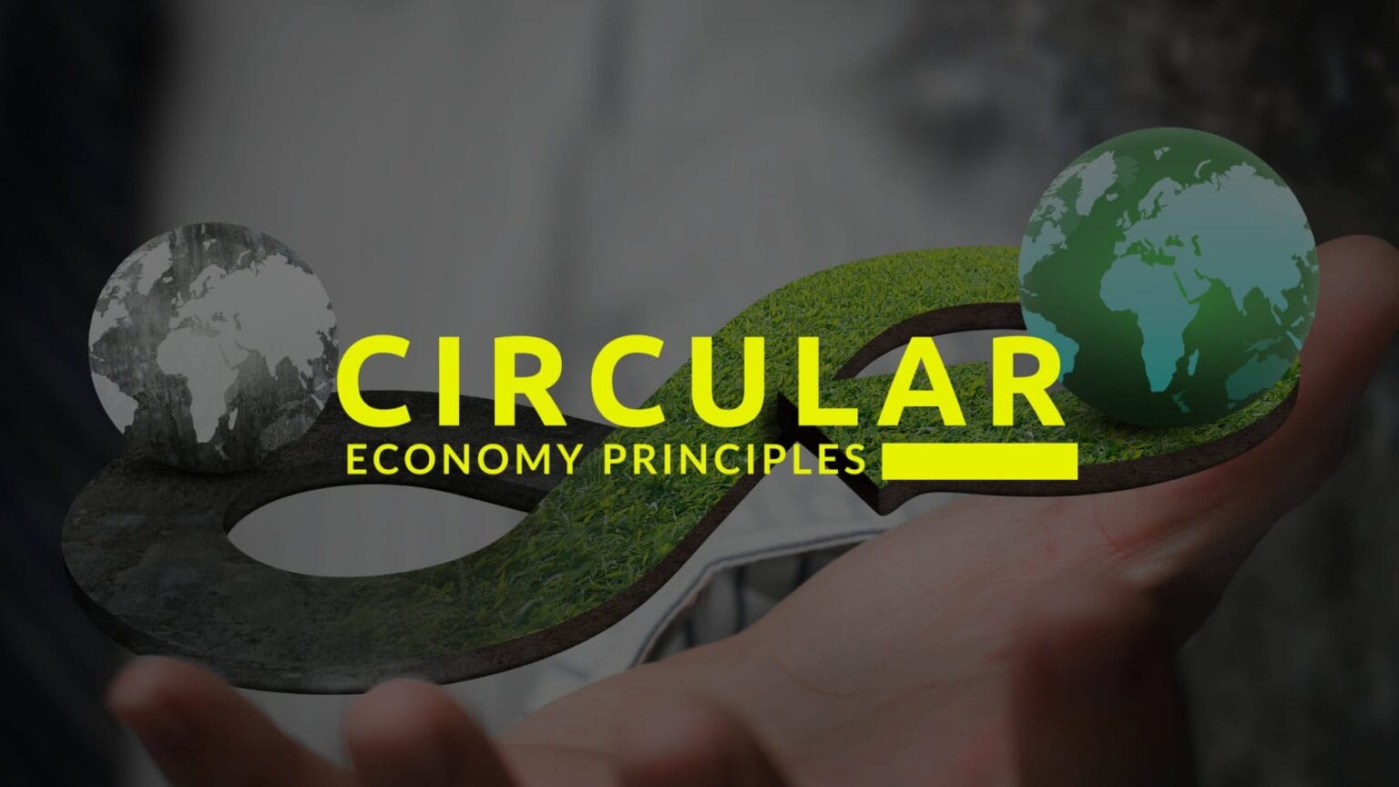 Circular Economy Principles Every Business Should Know - NatNavi